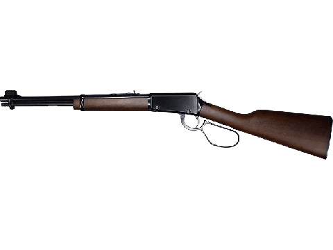 Henry H001L .22LR Lever-Action Special Edition 2020 TRUMP Rifle