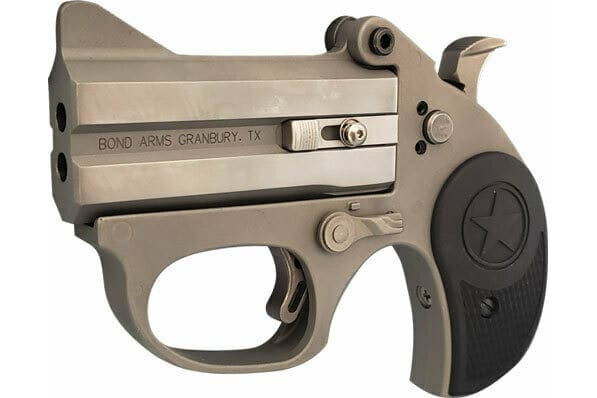 Bond Arms BASRS22LR Arms Stinger .22LR 2.5" Mattes SS Nylon Grip