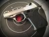 Phoenix Arms HP22A Pistol, 22LR, 3", Nickel Finish with Black Grips, 10 ...