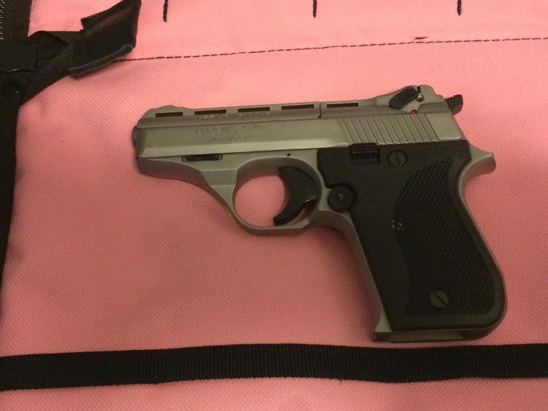 Phoenix Arms HP22A Pistol, 22LR, 3", Nickel Finish with Black Grips, 10 ...