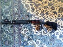 Interstate Arms Hawk 982 12 Gauge Pump Action Shotgun