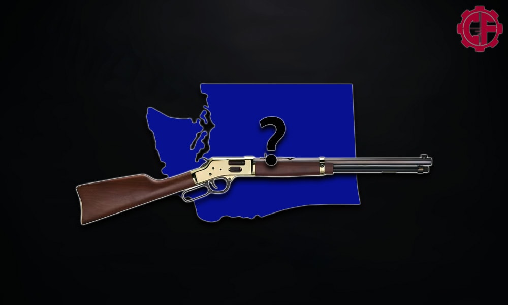Washington Gun Laws: WA-Compliant Guns You Can Buy Today | Gun News ...